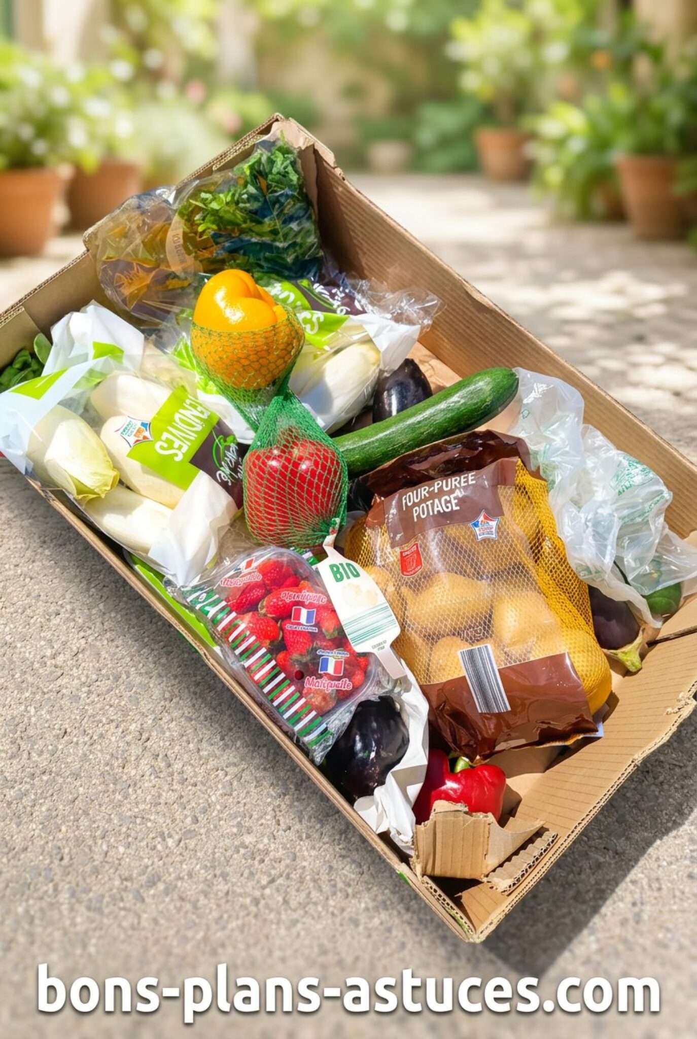 Les cagettes anti-gaspi chez Lidl : fruits, légumes et bonnes affaires ...